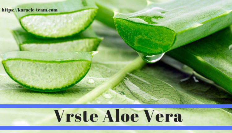 Vrste Aloe Vera
